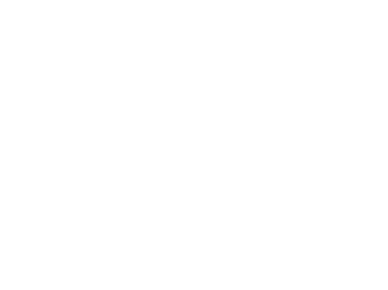 Grandaisy® - Big * Bright * Bold * Argyranthemums